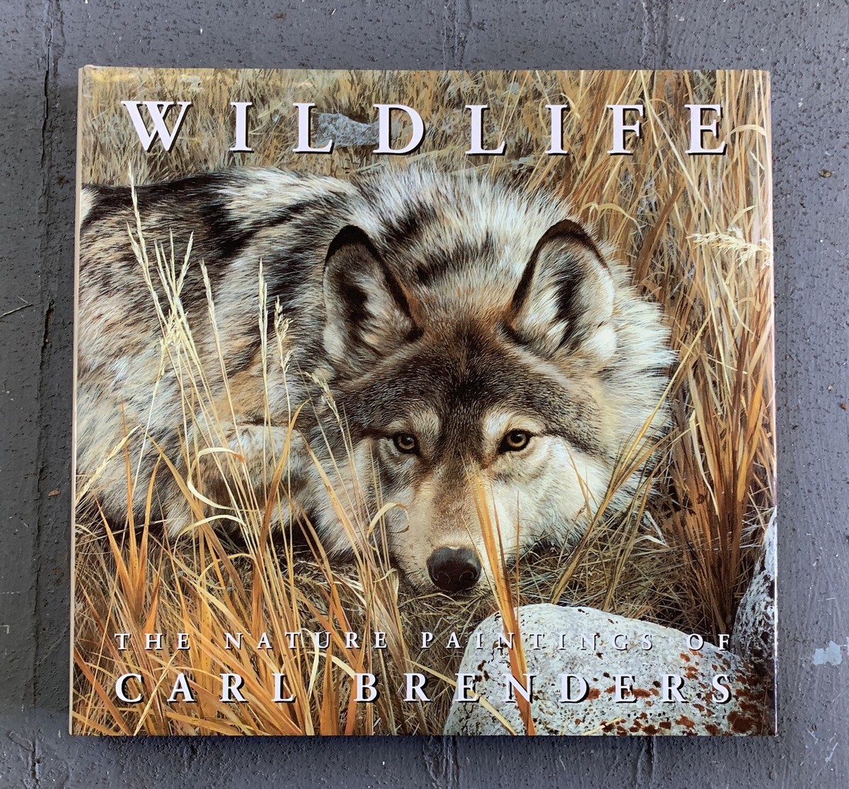 Carl Brenders Wildlife Art Den Mother Digital Art By Carl Brenders