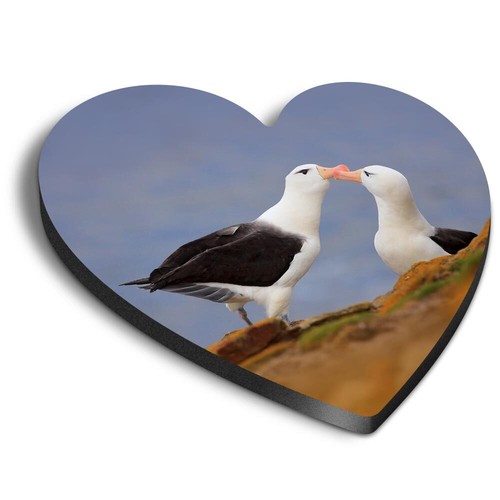 1x Heart Fridge MDF Magnet Albatross Bird Couple #50060 | eBay