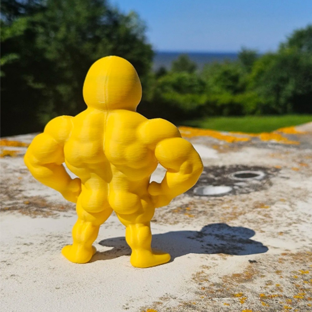 Muscle Duck Figurine Funny Gym Decor | Cute Shelf Statue Gift Idea | eBay