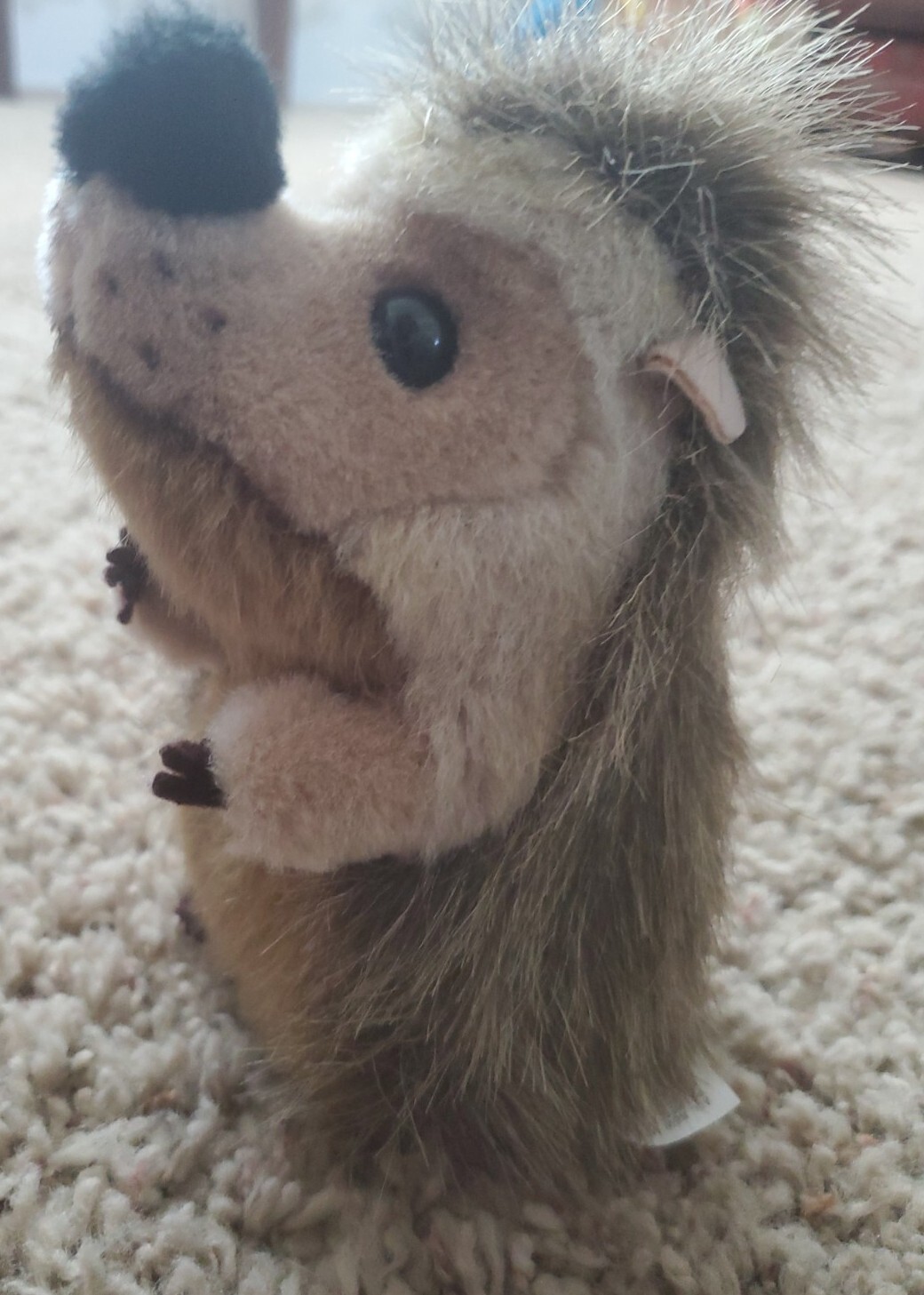 Adorable Kamik Kingdom HARRIS The Hedgehog 7" PLUSH TOY EUC | eBay