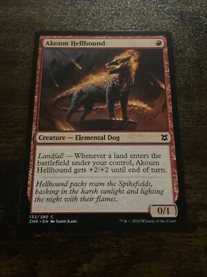 Akoum Hellhound 133/280 Zendikar Rising Magic The Gathering MTG D1254 ...