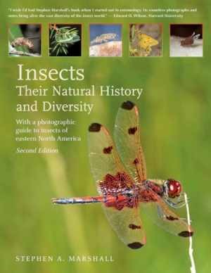 Insects: Their Natural History - Hardcover, by Marshall Stephen A ...