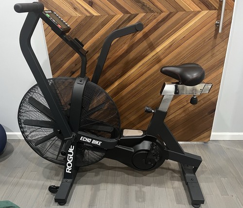 Rogue Echo Bike. Bike Is A Tank. Excellent Condition | eBay