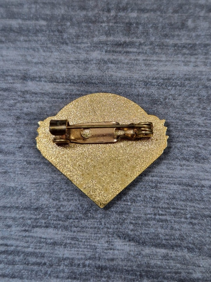 Sheffield Steelers 10th Anniversary 1990-2000 Metal Badge - Retro | eBay UK