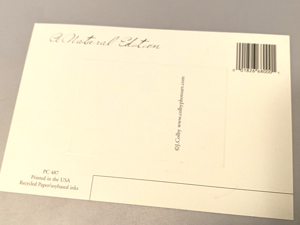 2 Photo Postcards by Artist J. Colby 6" x4" | eBay