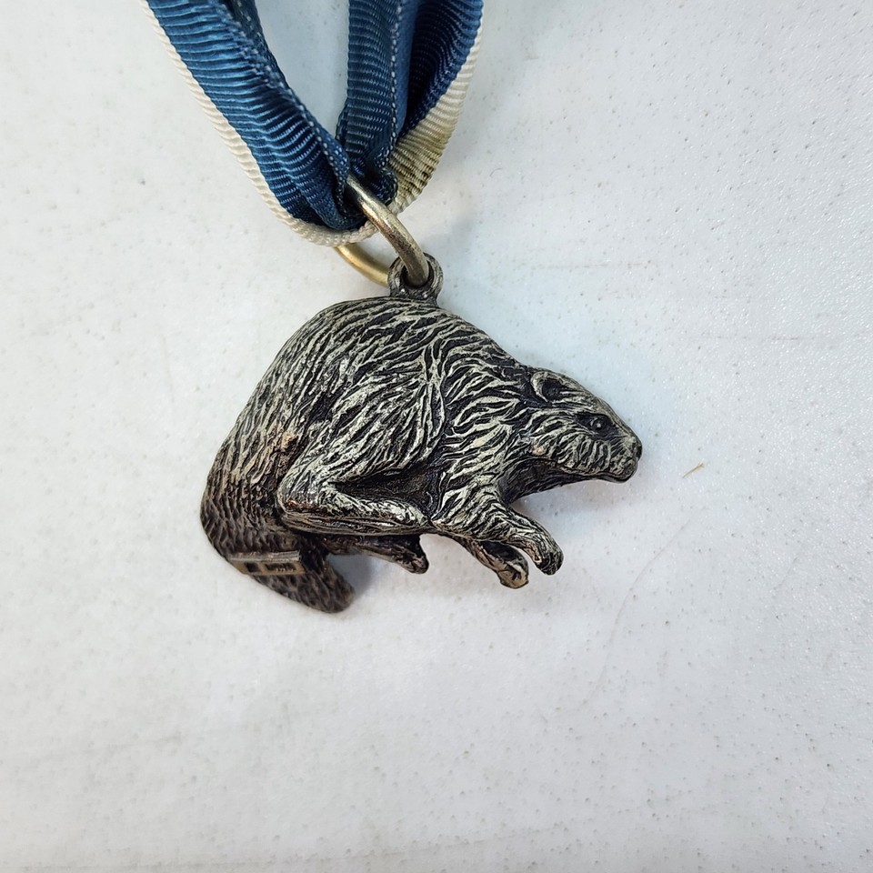 Vintage BSA Boy Scouts Beaver Medal in Black Case | eBay