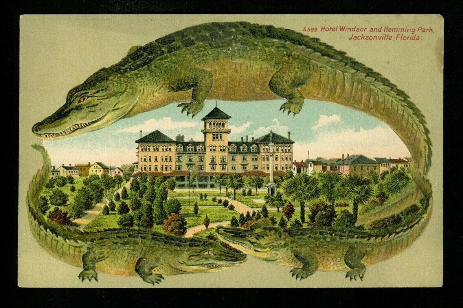 Alligator Border postcard Hotel Windsor Hemming Park Jacksonville, FL S ...