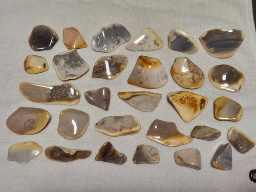 Assorted Tumbled Texas Chert Bulk Natural Gems Stones 1lb Lots | eBay