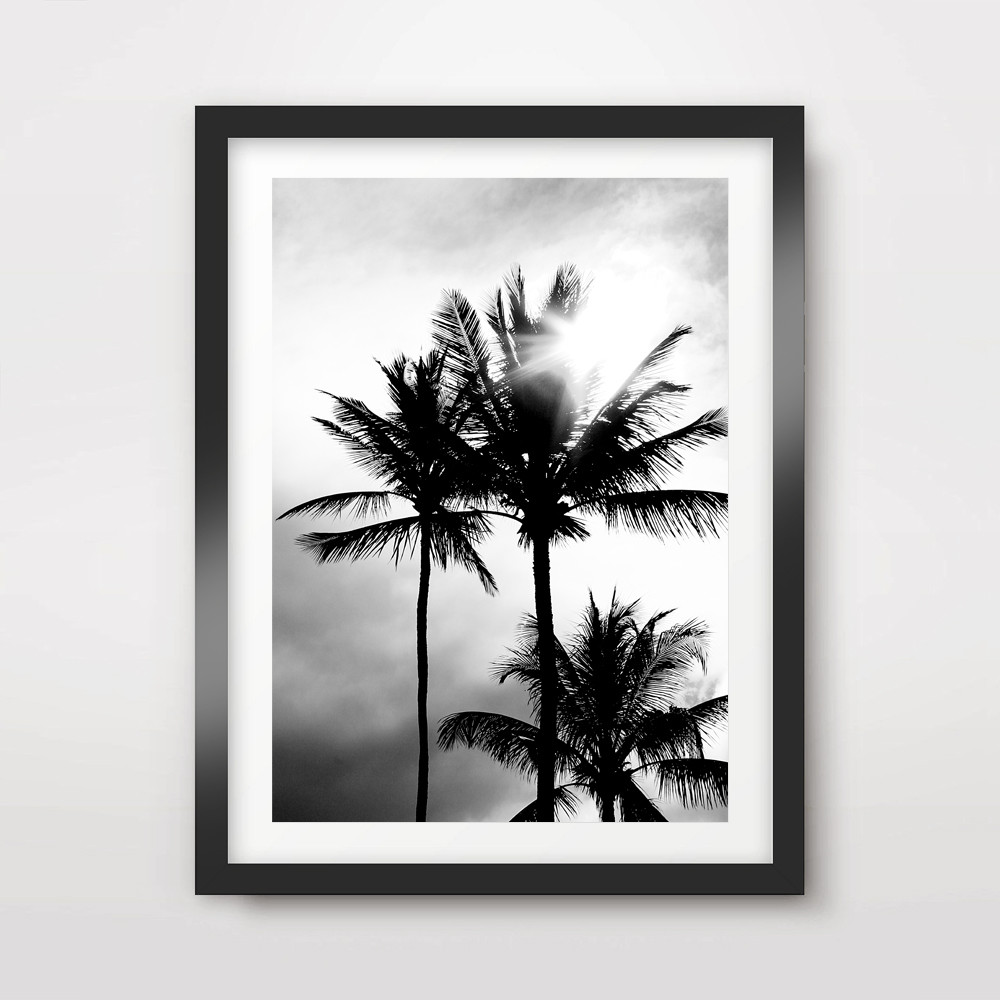 Tropical Print Black And White Sunseeker Tropical Print Underwired