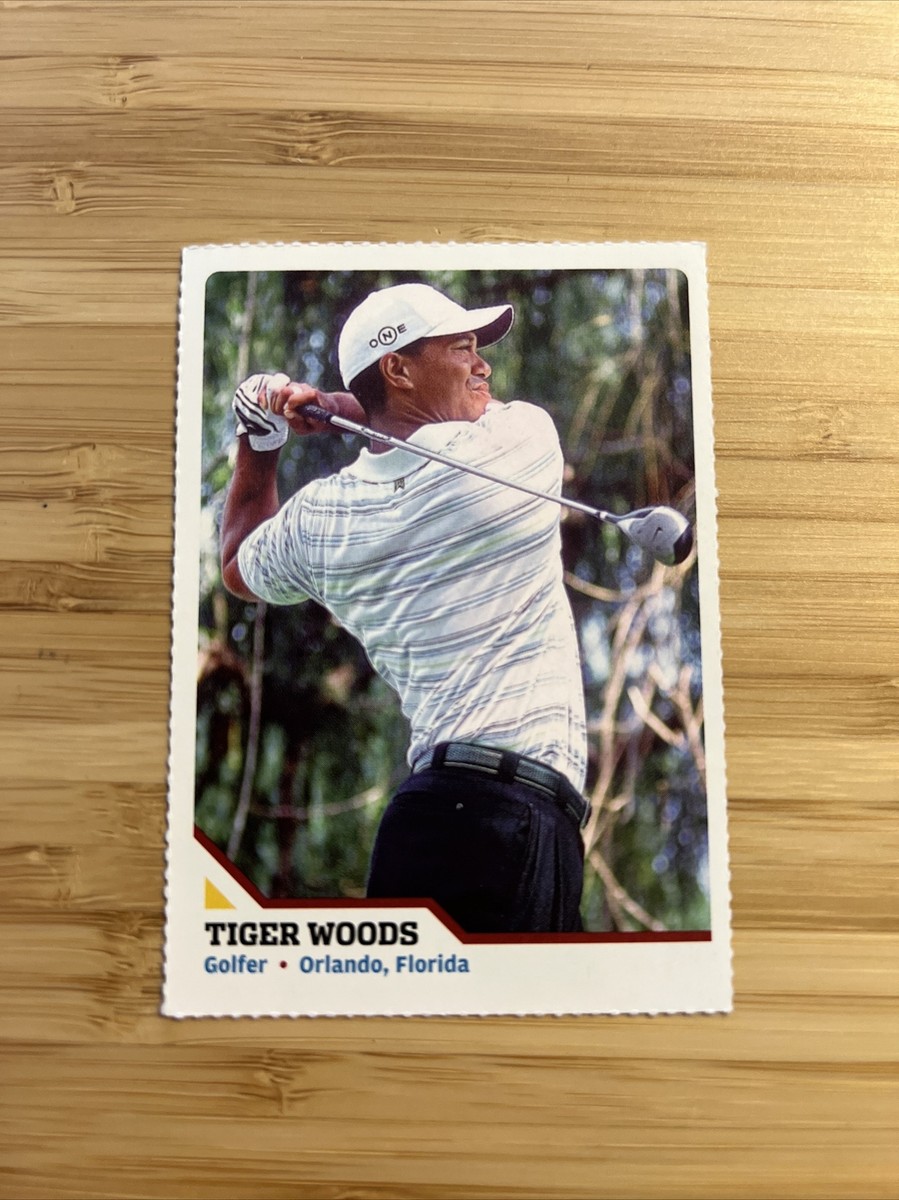 Tiger Woods Kid Golf