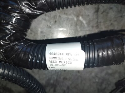 Cummins engine control module wiring harness 4946244 4934740 4981935 | eBay