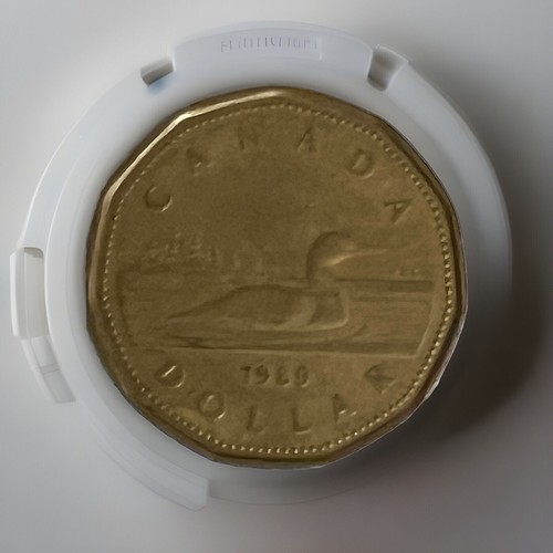1989 Canadian $1 Loonie Coin Vintage One Dollar Collectible [0219] | eBay