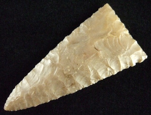 Exceptionally Fine Illinois Cahokia Triangular Point with BT COA ...