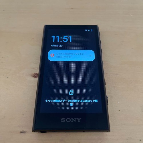 SONY NW-A306 Grey WALKMAN 32GB Hi-Res Player | eBay