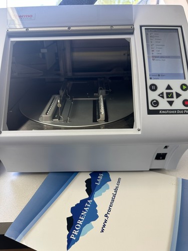 Kingfisher Duo Prime | eBay