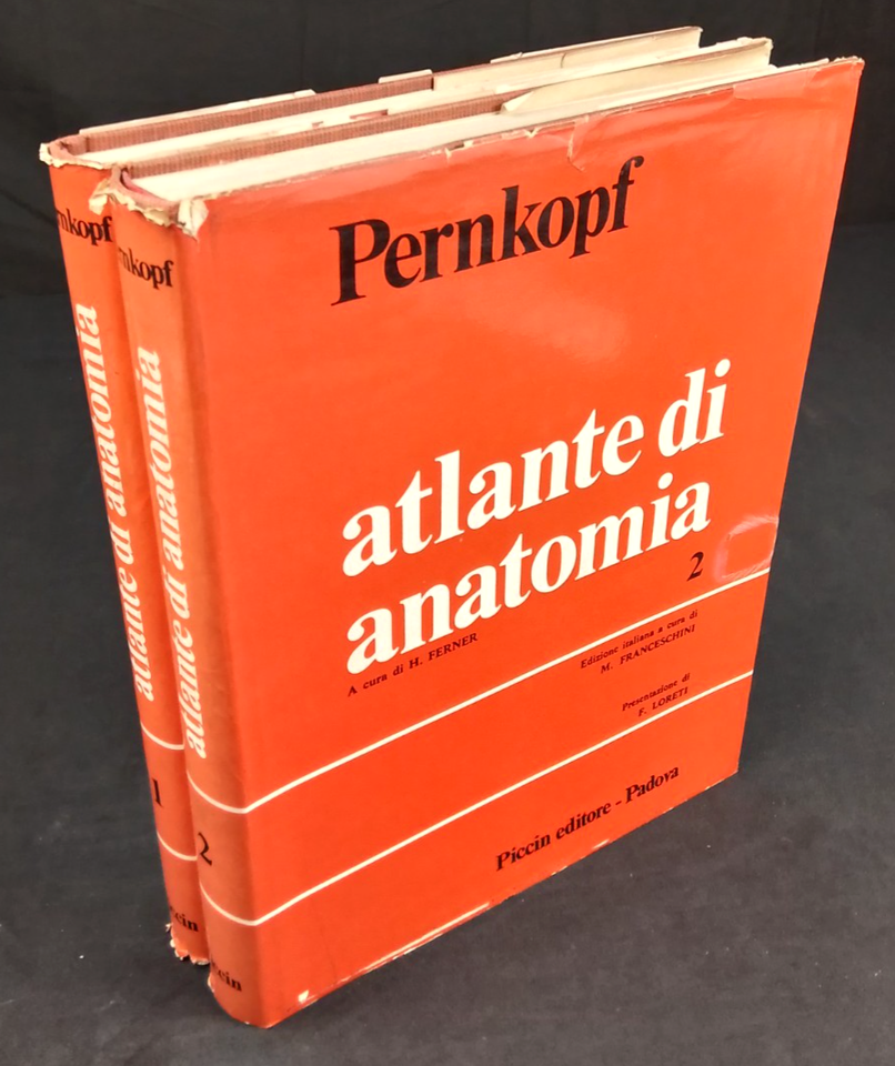 ATLANTE DI ANATOMIA SISTEMATICA E TOPOGRAFIA DELL'UOMO Pernkopf Piccin 1963 | eBay