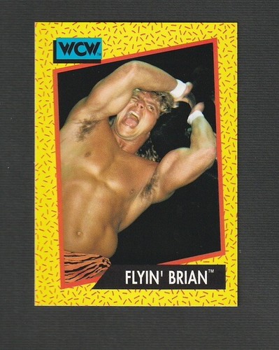 1991 Impel WCW Flyin' Brian #55 | eBay