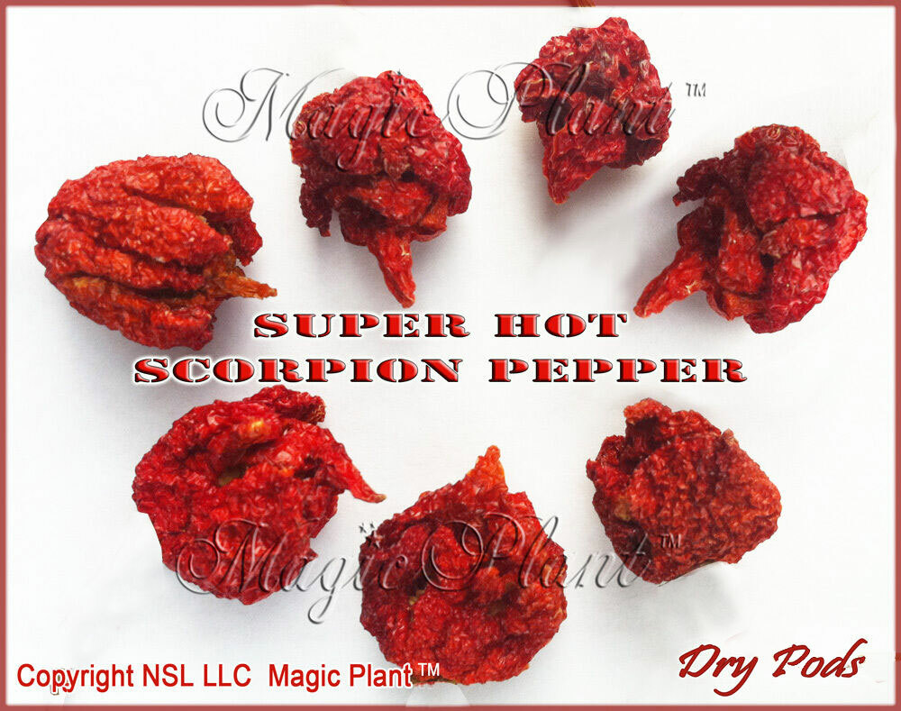Trinidad Scorpion Pods
