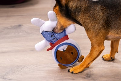 Dapper Dandies Plush Dog Toy Set - Galactic Collection (2PK) | eBay