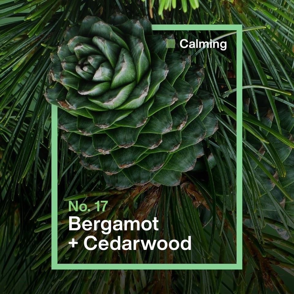 INEOS Hygienics Next Gen Antibac Multi Room Disinfectant Biodegradable ...