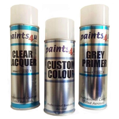 DAIHATSU S28 Car Spray Paint Complete Aerosol Repair Kit SILVER S28 ...