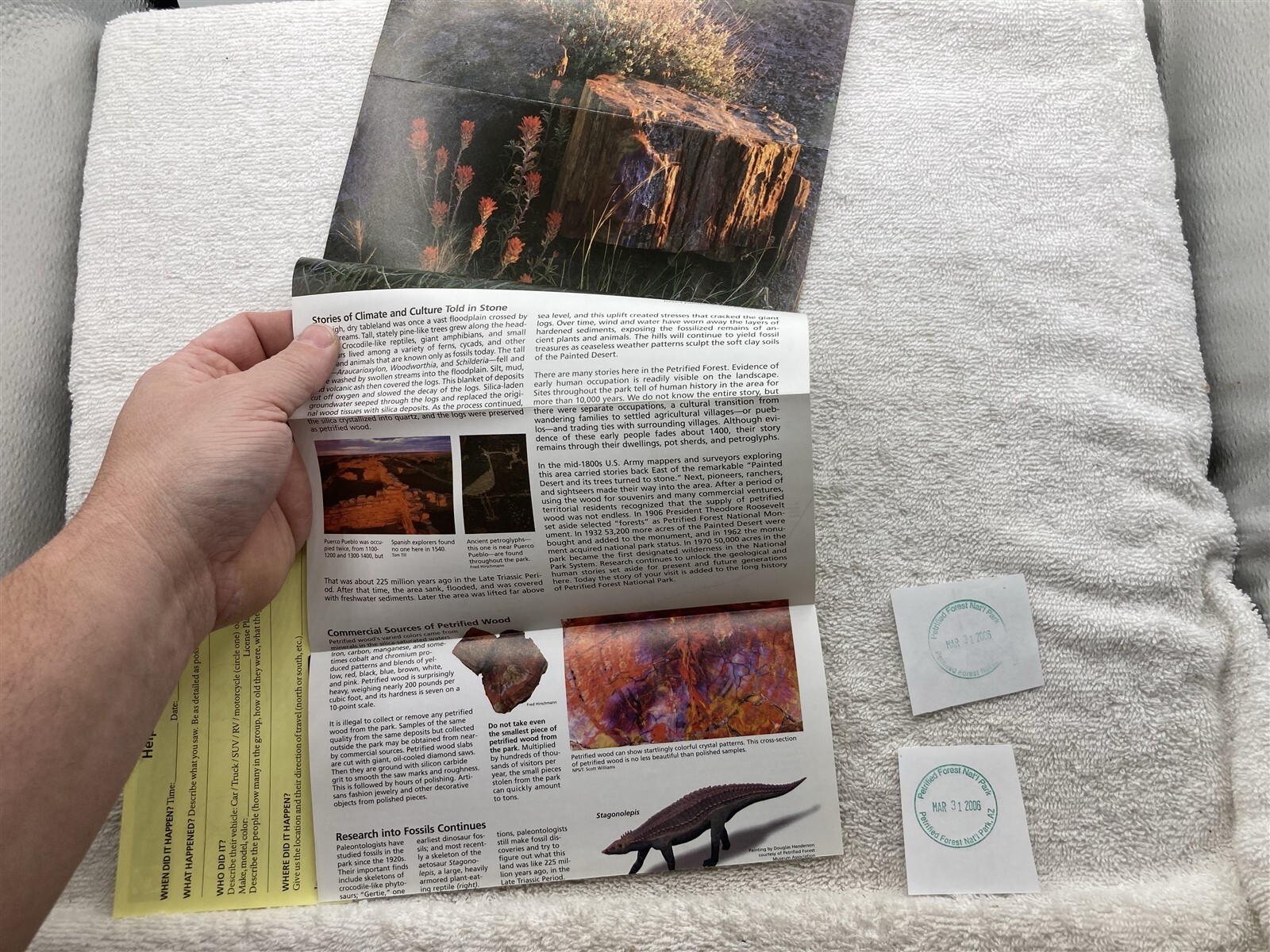 Petrified Forest Arizona National Park Service Brochure | eBay