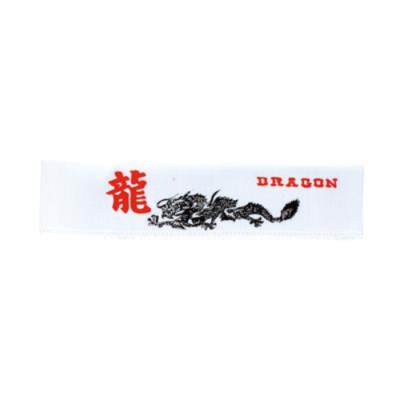 Martial Arts Headbands No 4 Dragon Kanji Karate Head Band Fancy Dress ...