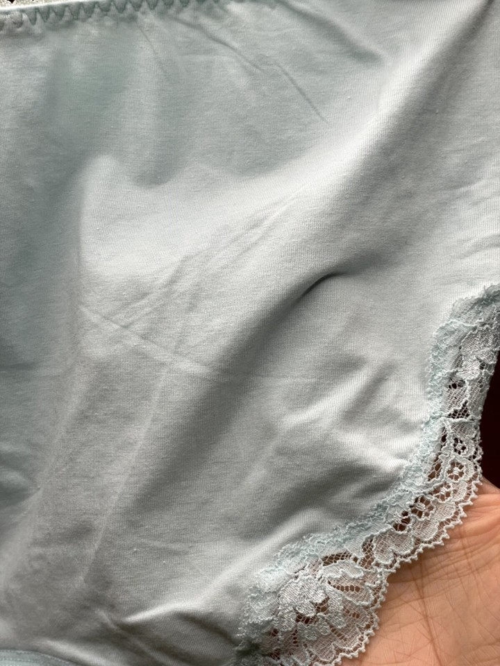 Vintage Silky Rayon Nylon Sissy Panty Baby Blue Bikini Huge Floral Briefs Sz.5 | eBay