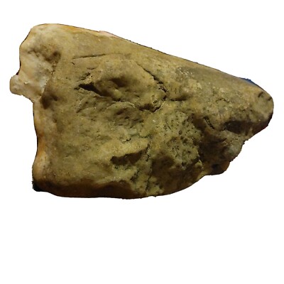 Authentic PALEO AMerican STONE EFFIGY, STORY ROCK, SCULPTURE, ROCK ART ...
