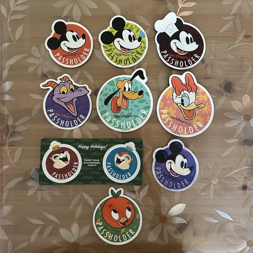 Lot Of 10 Disney World Annual Passholder Magnets 2018-2021 | eBay