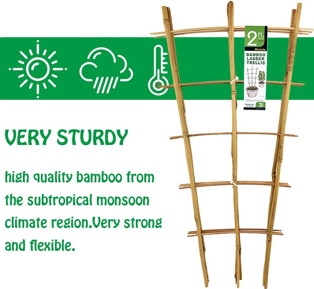 Natural Bamboo Trellis 24 Inches Tall, Garden Ladder Trellis, Plant for ...