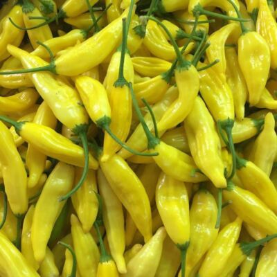 CHILLI Lemon Drop (Aji Lemon) 10 seeds OPEN-POLLINATED vegetable garden ...