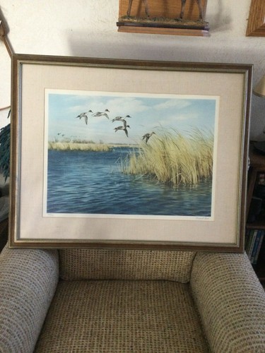 maynard reece mallards signed print | eBay