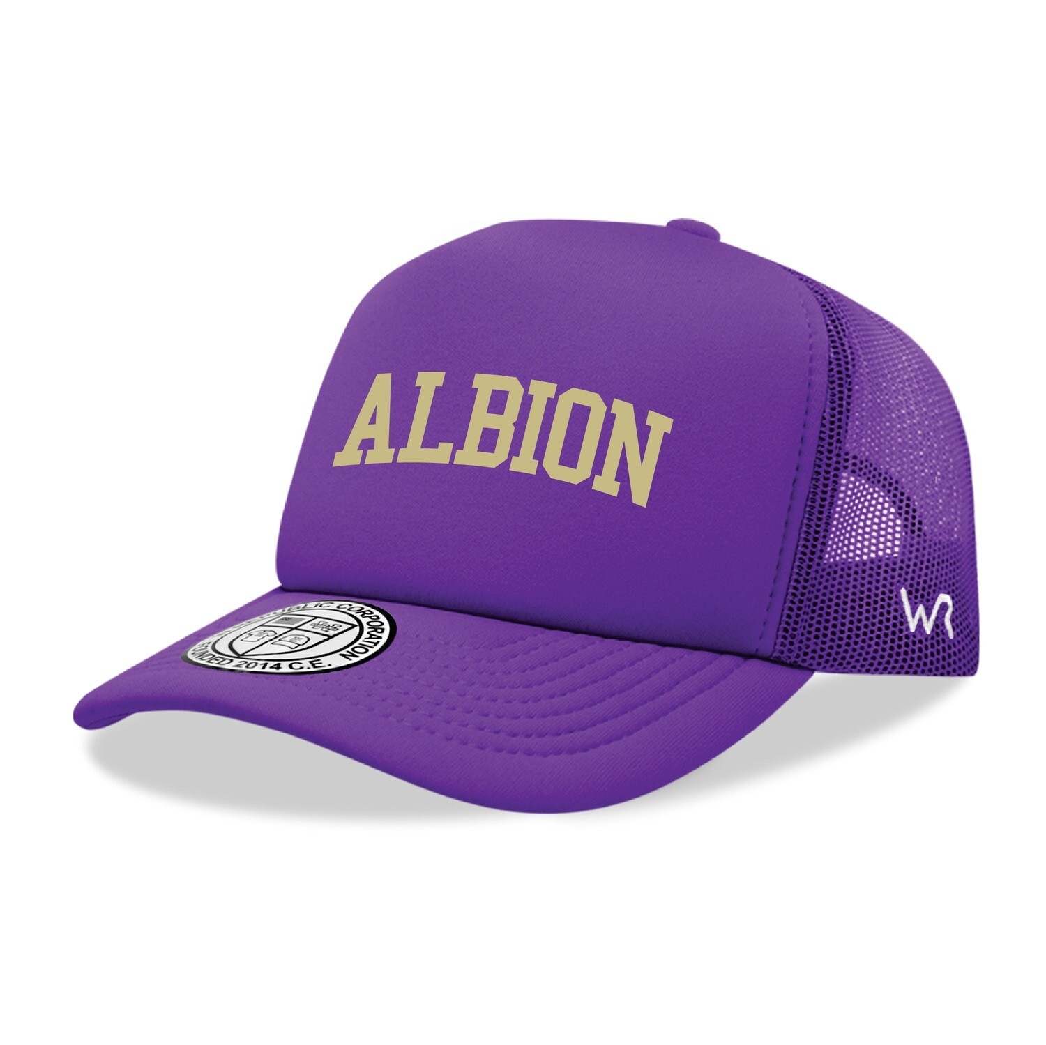 Albion College Britons AC Trucker Mesh Snapback Game Day Hat | eBay