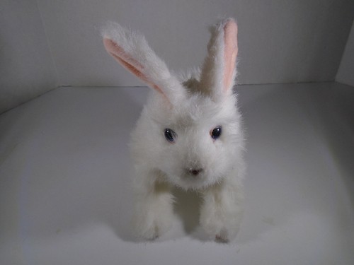 2011 HASBRO FURREAL FRIENDS--INTERACTIVE HOP n' CUDDLE BUNNY (LOOK) | eBay