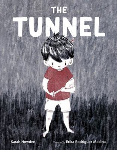 The Tunnel Picture Book Sarah Howden 9781771474276| eBay
