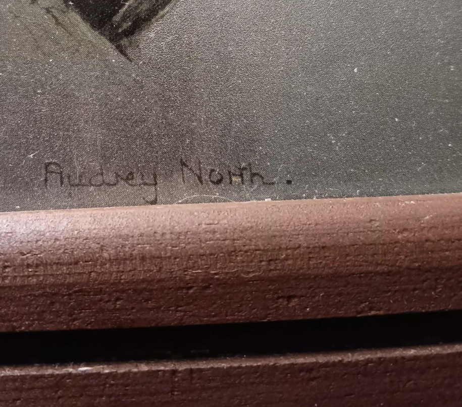 Vintage Framed Foil Art Audrey North Tawny Owl Metallic 3D Effect Print ...