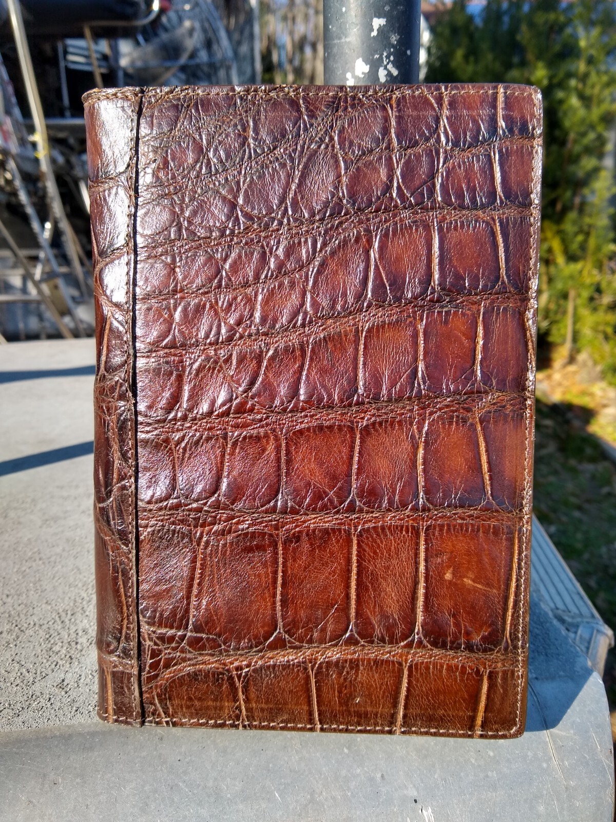 Wild Alligator Small Writing Note Pad Portfolio gator swamp Brown FEB1 ...