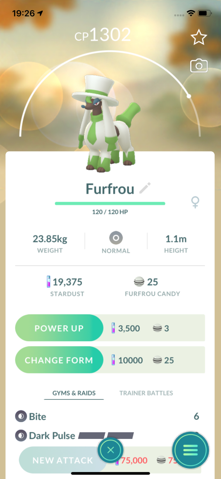 Pokemon - Furfrou Dandy Trim !! Same Day Shippment or Next Day ...