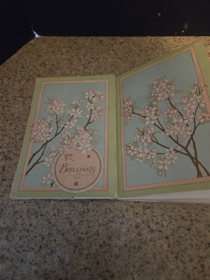 Brilliants Selected Writings from Newman, John Henry by Alice Williams ...