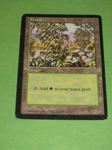 Magic the Gathering Tony Roberts FOREST LAND Deckmaster Card | eBay