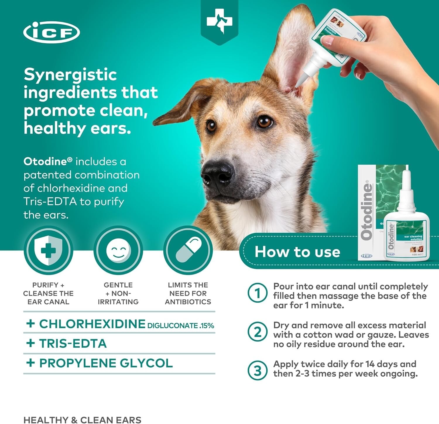 ICF Otodine | Cat & Dog Ear Cleaner Solution , Dog Ear Drops to Stop ...