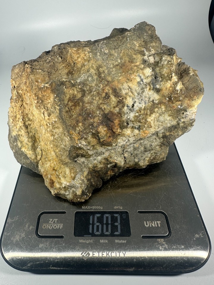 Gold Specimen- High Grade Gold Ore Colorado Gold Ore Tellurides ORO ...