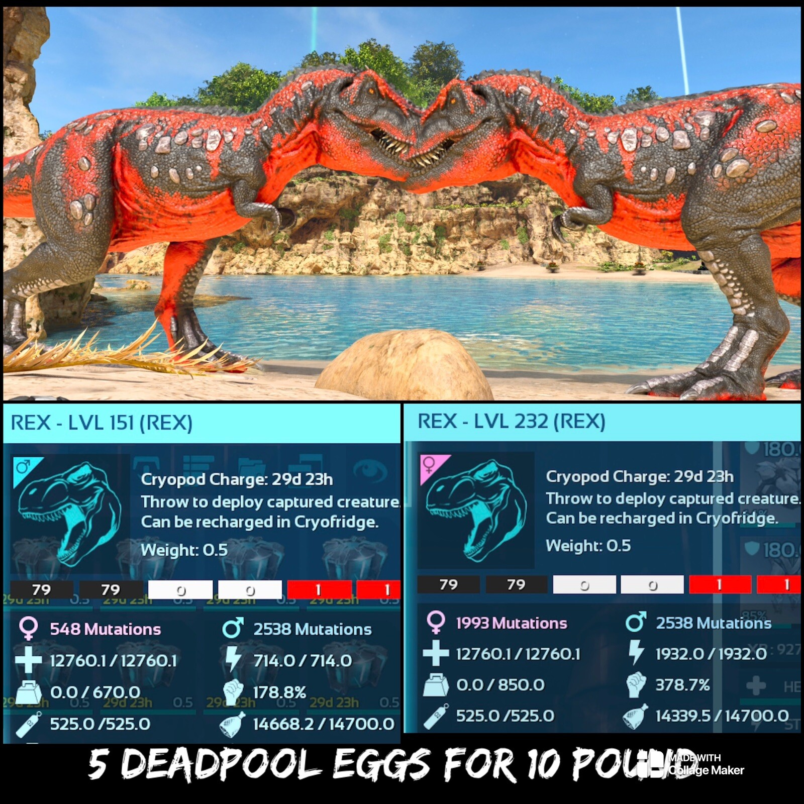 Ark Survival Ascended pve 5 DEADPOOL REX EGGS PC/XBOX/PS5 | eBay