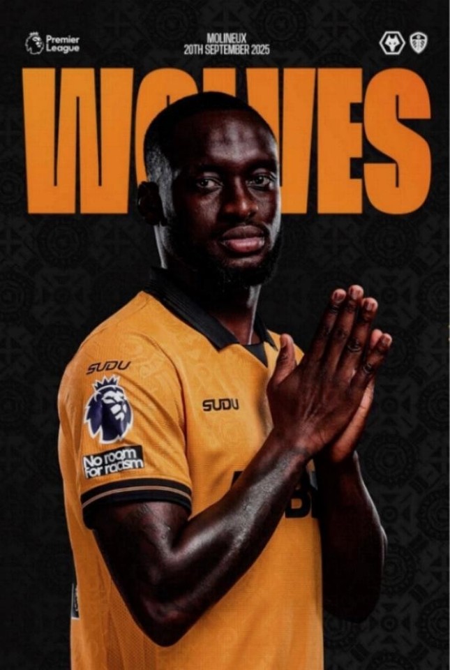 * 2025/26 - WOLVES HOME PROGRAMMES - CHOOSE FROM LIST * | eBay UK