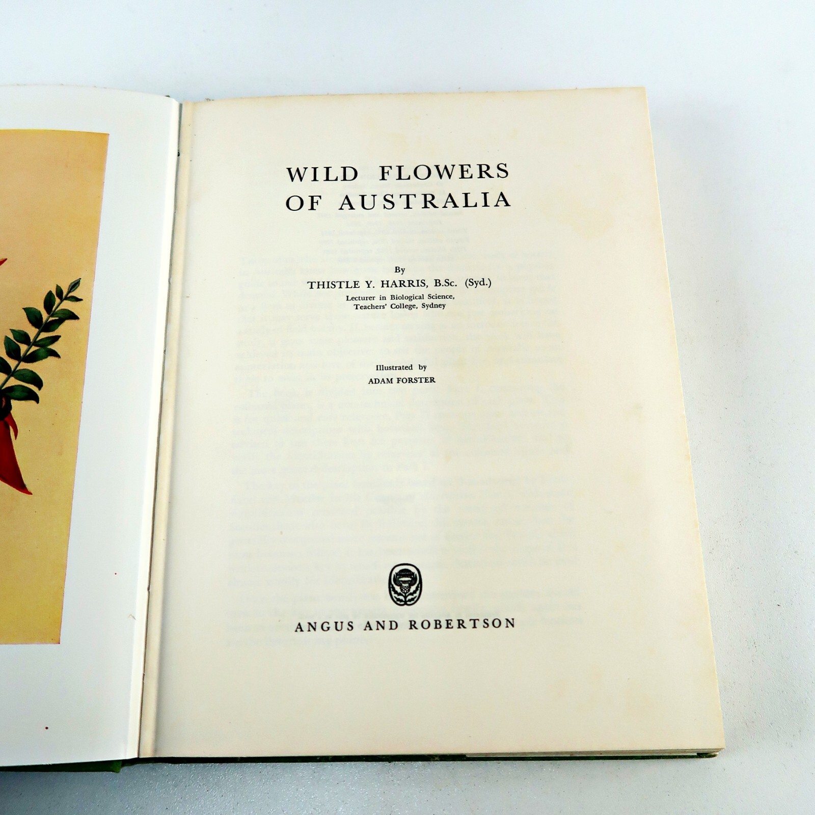 Wild Flowers of Australia by Thistle Y Harris & Illustrated by Adam ...