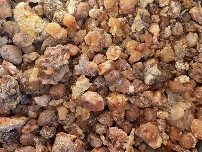 Piñon Tree Sap/Pitch/Resin-6OZ NORTHERN NEW MEXICO | eBay