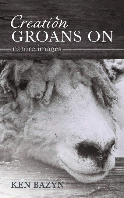 Creation Groans On : Nature Images by Ken Bazyn (2021, Hardcover) for ...