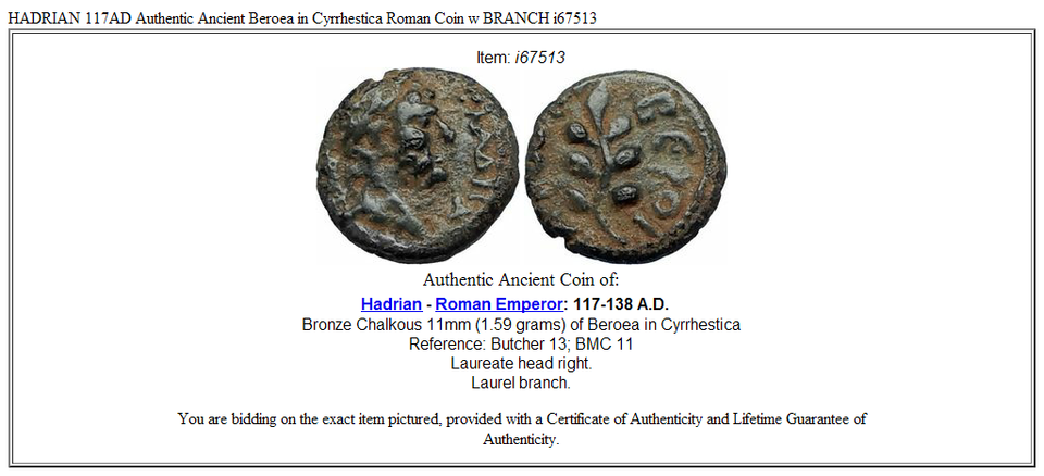 HADRIAN 117AD Authentic Ancient Beroea in Cyrrhestica Roman Coin w ...