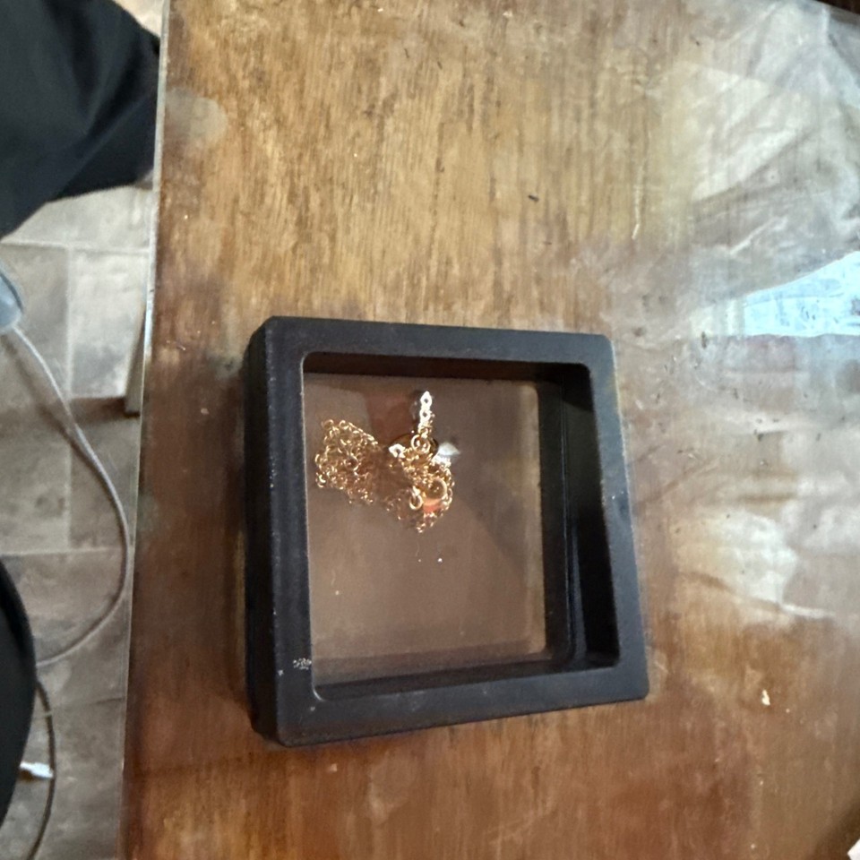 Solid Gold Scrap Jewelry and Recovered Gold Pieces in Display Case with ...